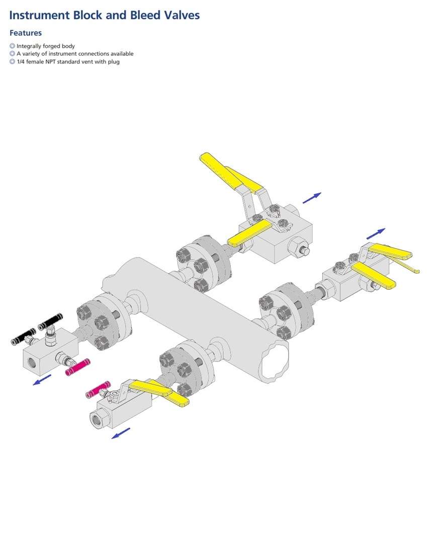 double block and bleed combines one or more block/isolate valves